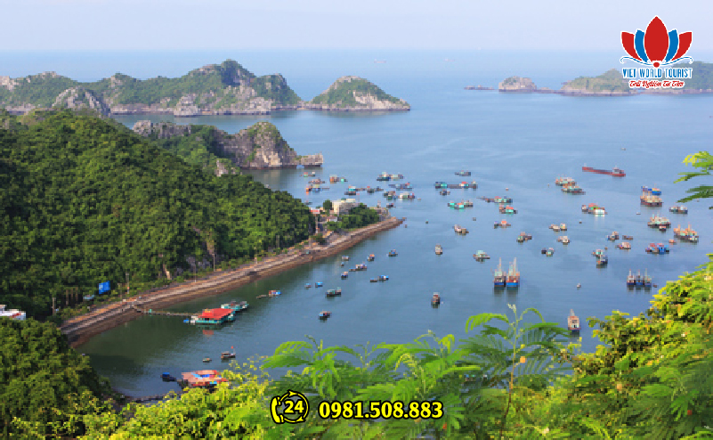Tour Tuần Châu - Cát Bà 3 ngày 2 đêm - VietWorld Tourist