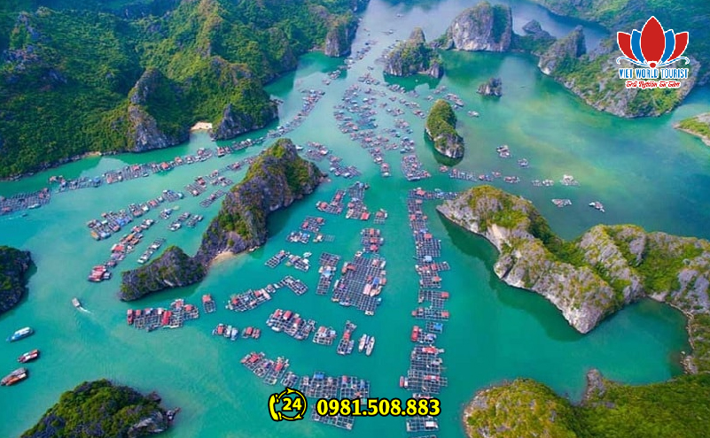 Tour Tuần Châu - Cát Bà 3 ngày 2 đêm - VietWorld Tourist
